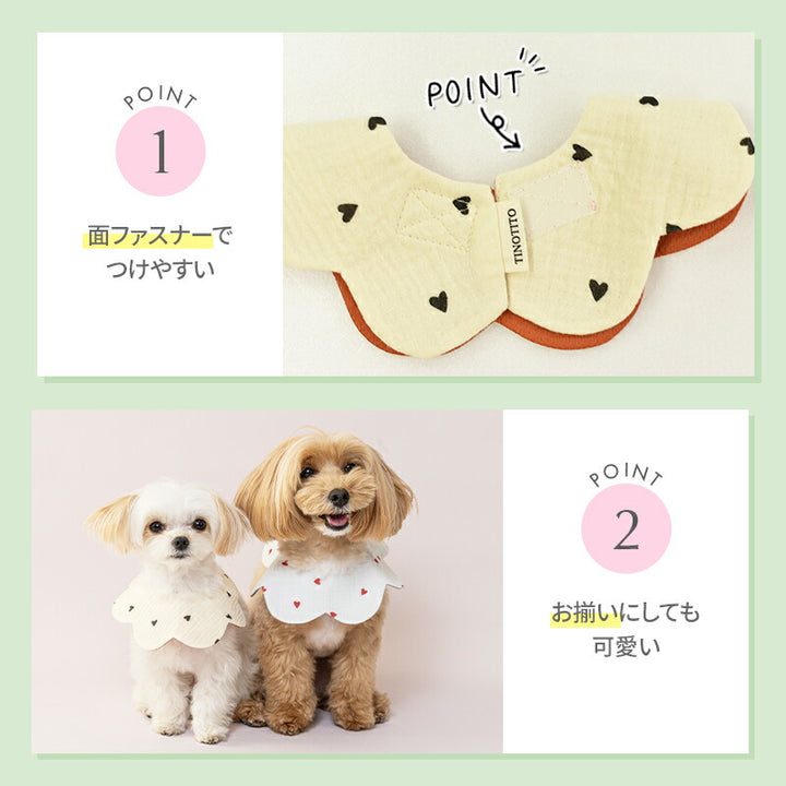 TINOTITO 2025 Spring&Summer （ティノティート） – Wan-Voyage（ワンボヤージュ）- お洒落なドッグウェア 犬服のお店